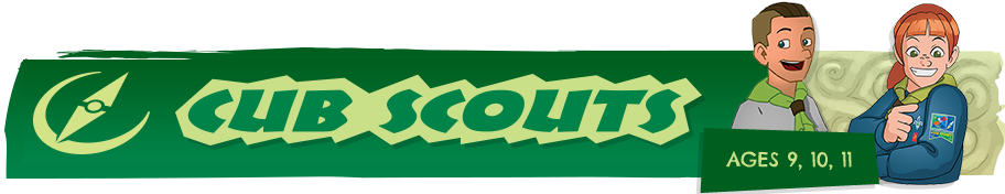 Cub Scouts - Caherdavin Scouts